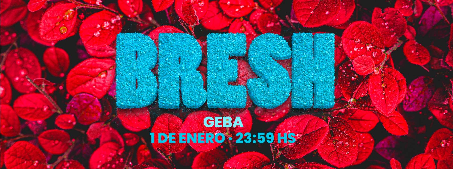 FIESTA BRESH 1/1