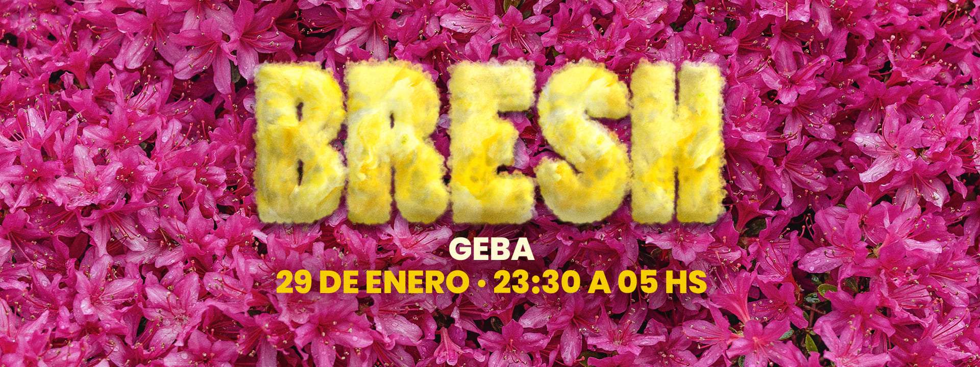 FIESTA BRESH 29/1