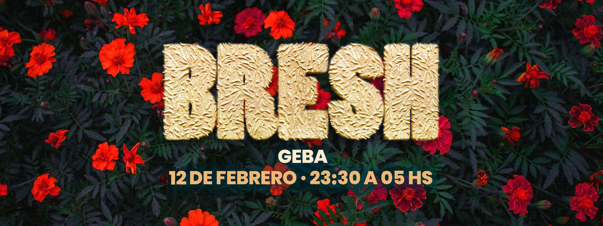 FIESTA BRESH 12/2