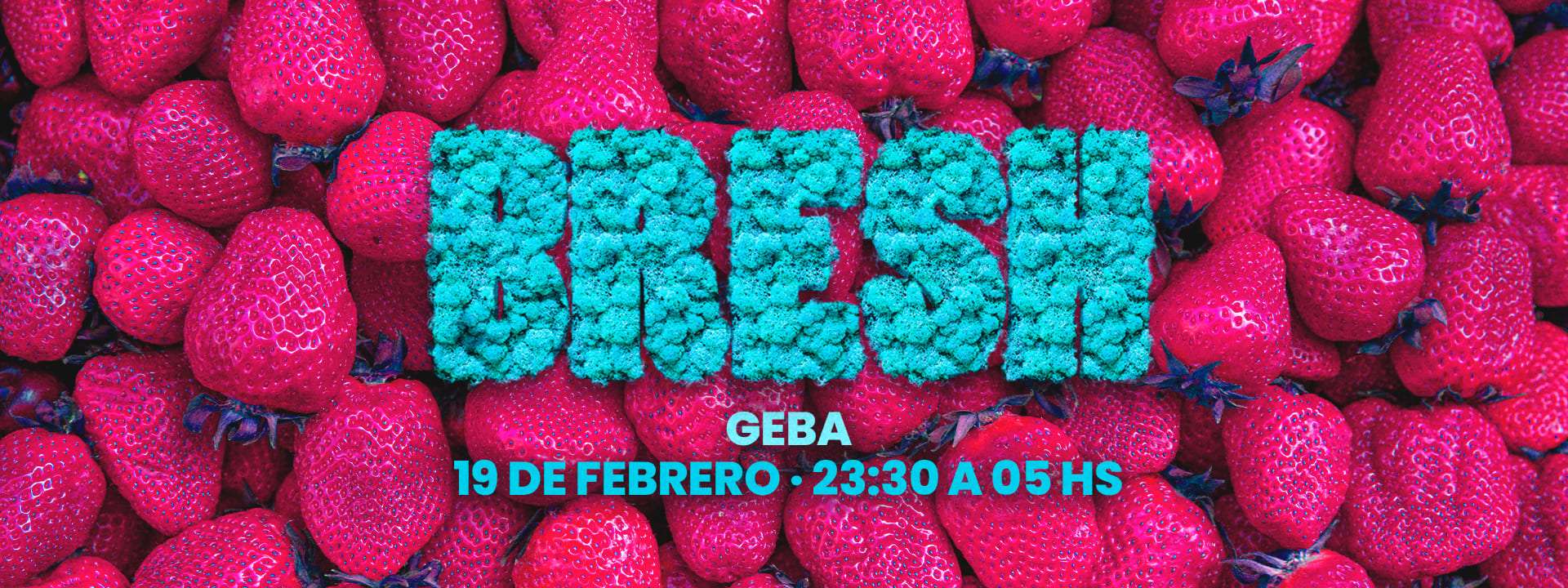 FIESTA BRESH 19/2