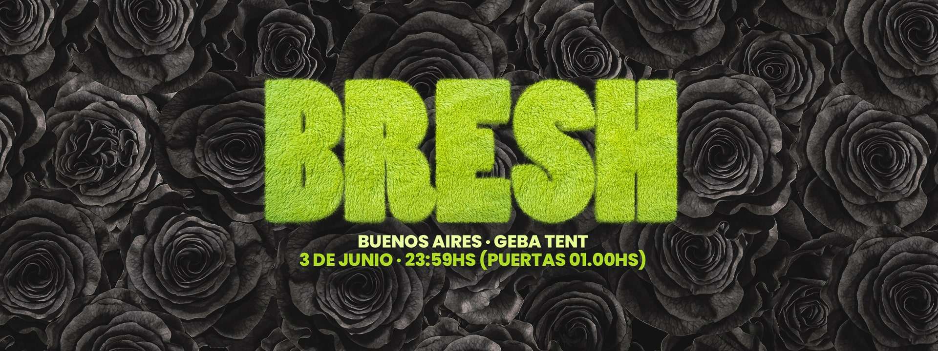 FIESTA BRESH 3/6