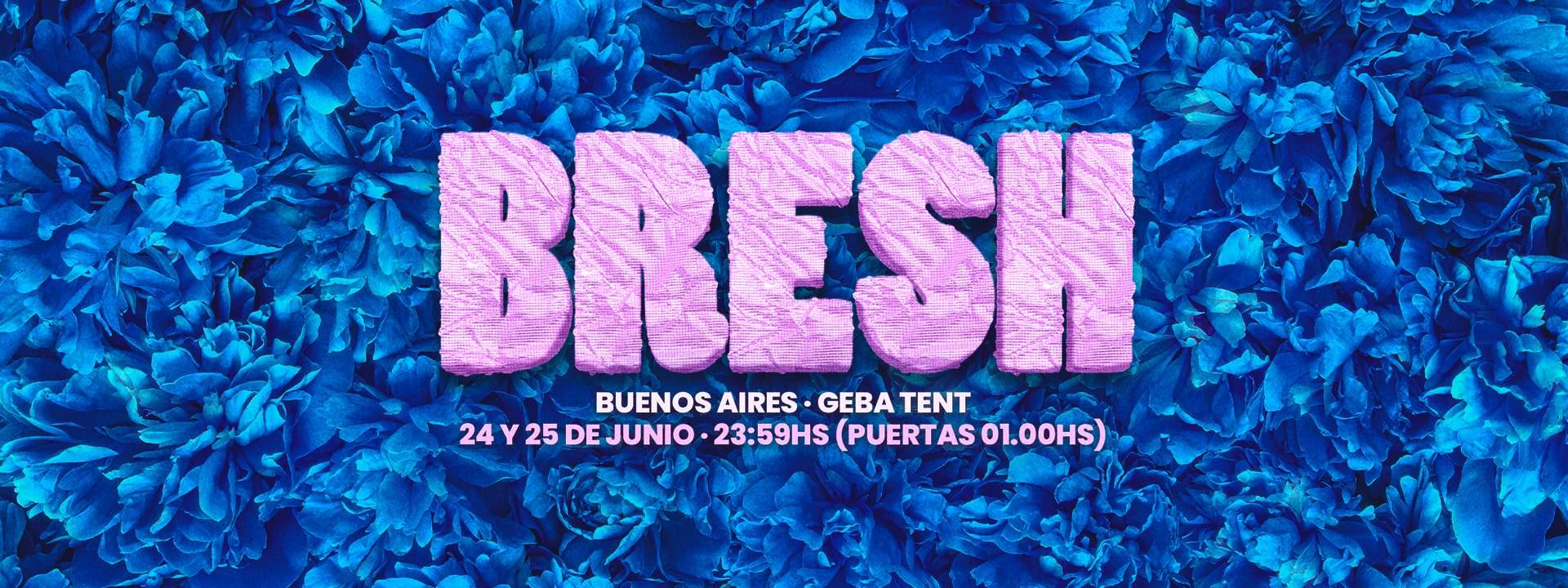 FIESTA BRESH 24/6